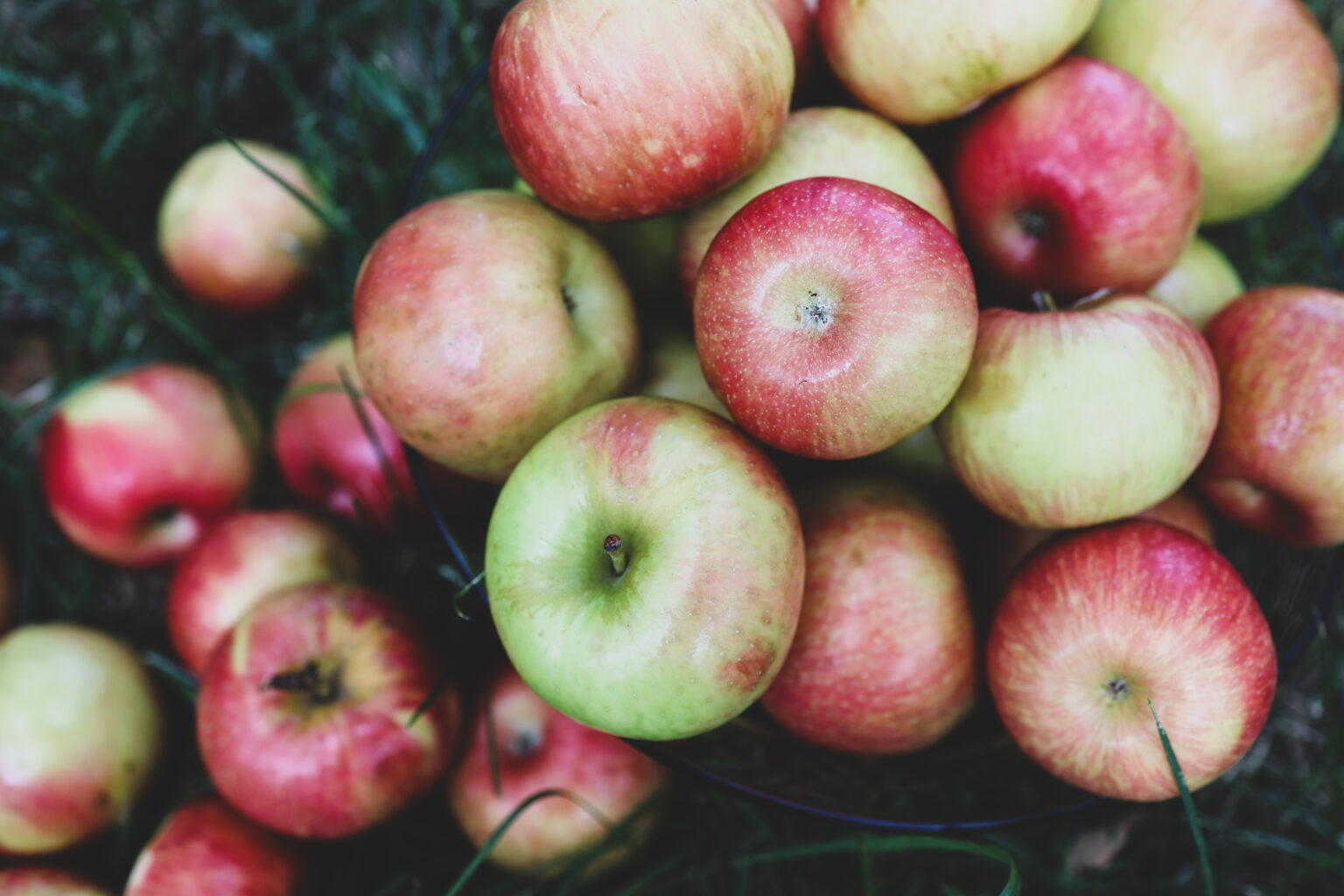 ProPartners Financial - Private Label Crop Input Finance Programs